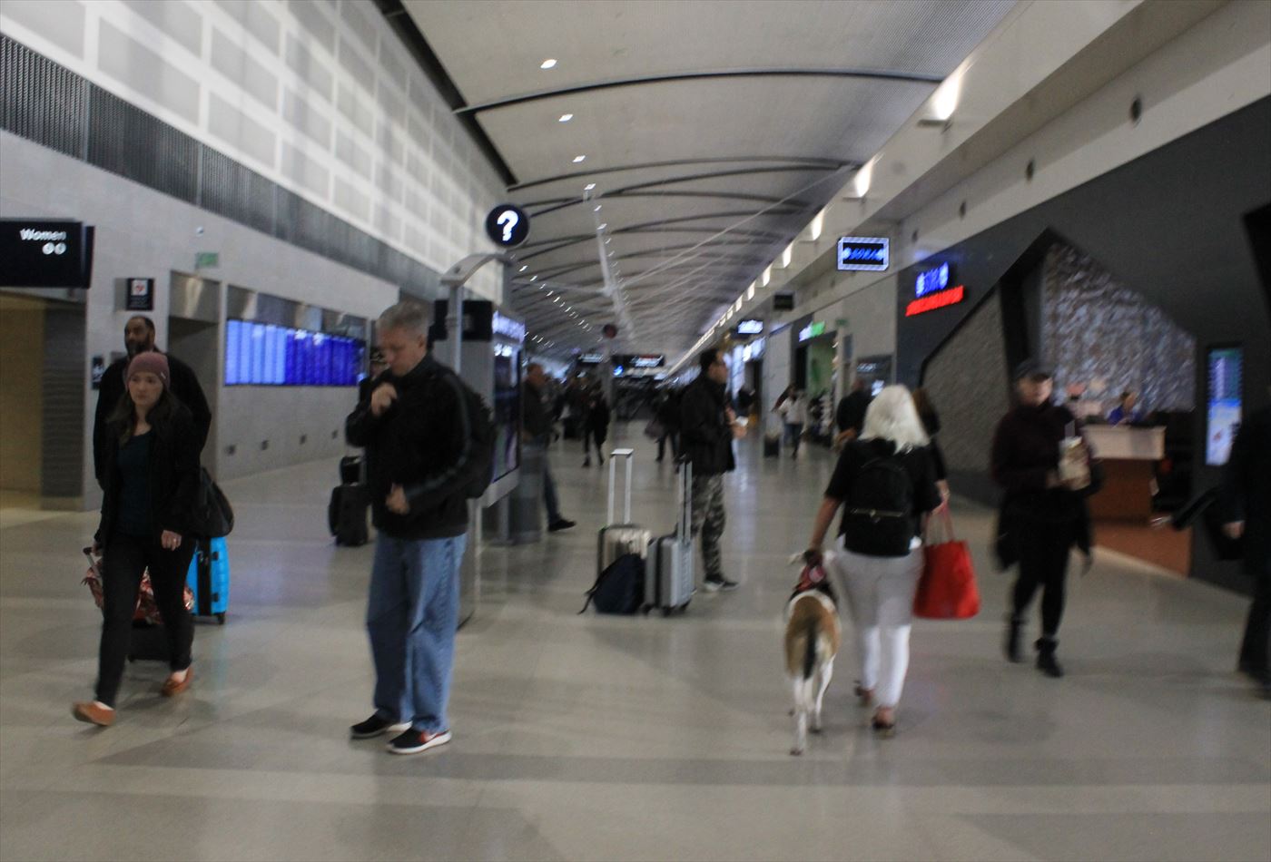 空港に犬が闊歩する風景、反日のメッカだったデトロイトの現在 - トラベル-ログ・ドット・ネット
